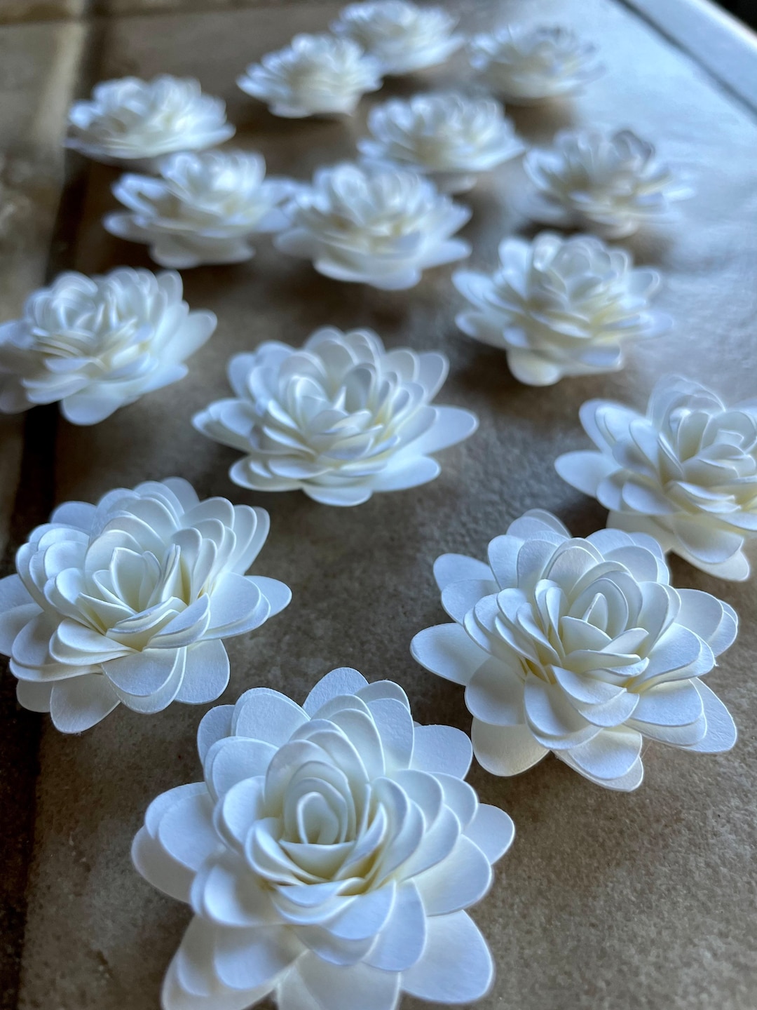 15pk White Starburst Rolled Paper Flowers 1” Inch - Etsy