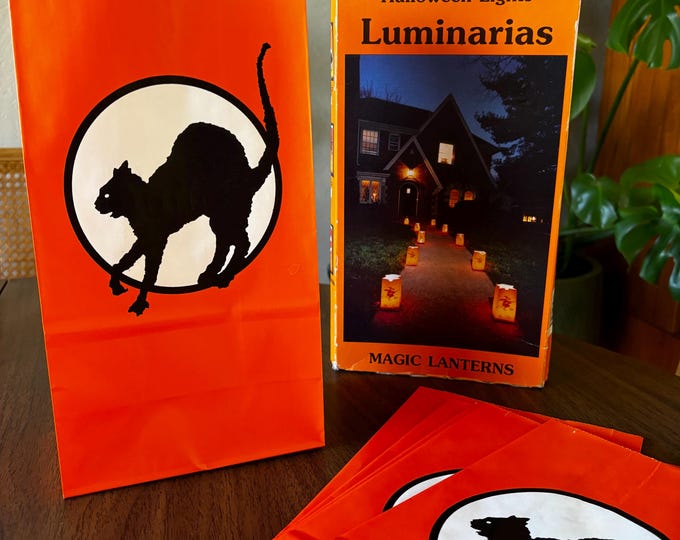 Vintage Empire Paper Bag Luminaries Halloween Cat in Original Box Magic ...