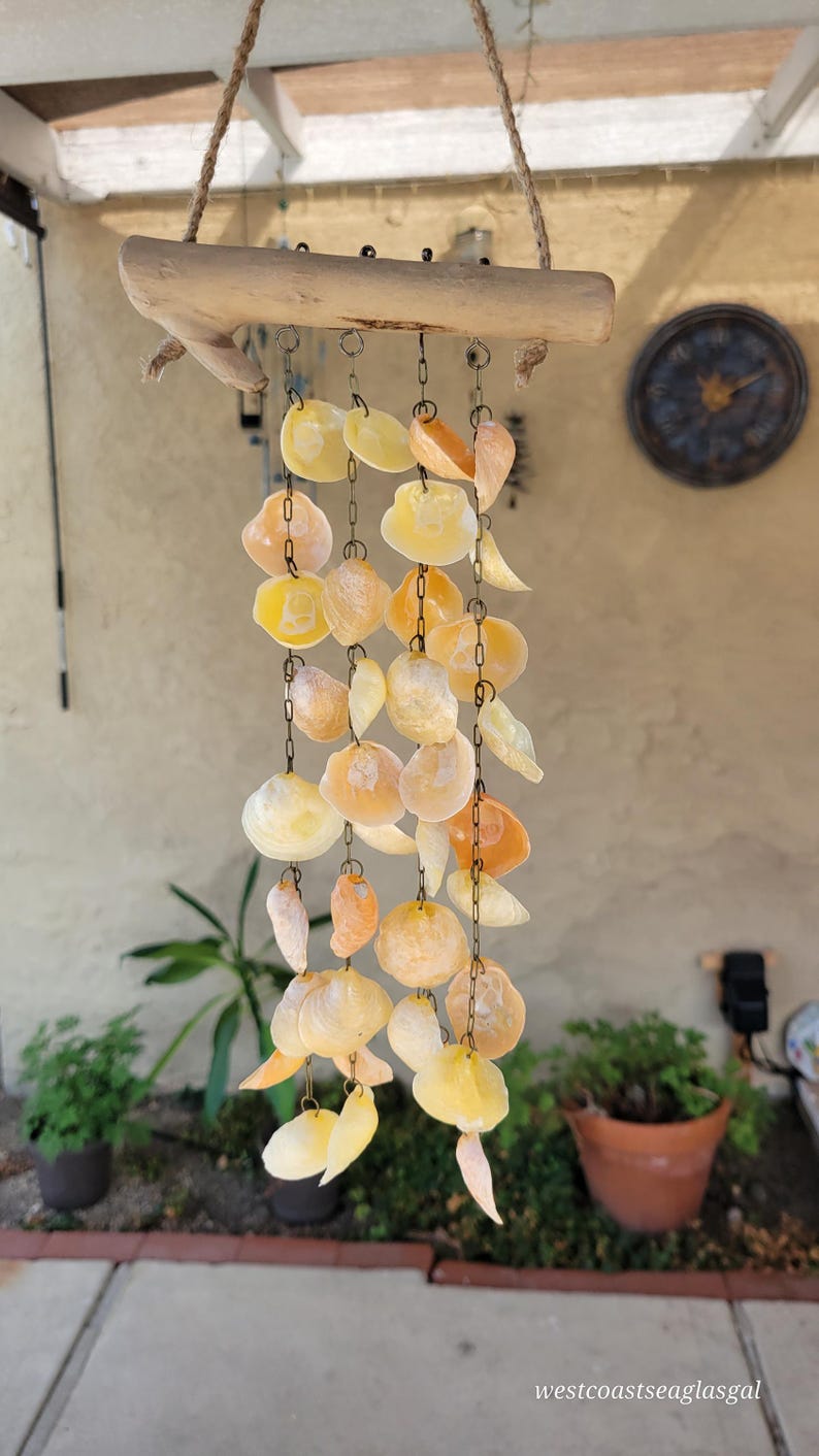 Jingle Shell Wind Chime: Coastal Decor, Gentle Sound - Etsy