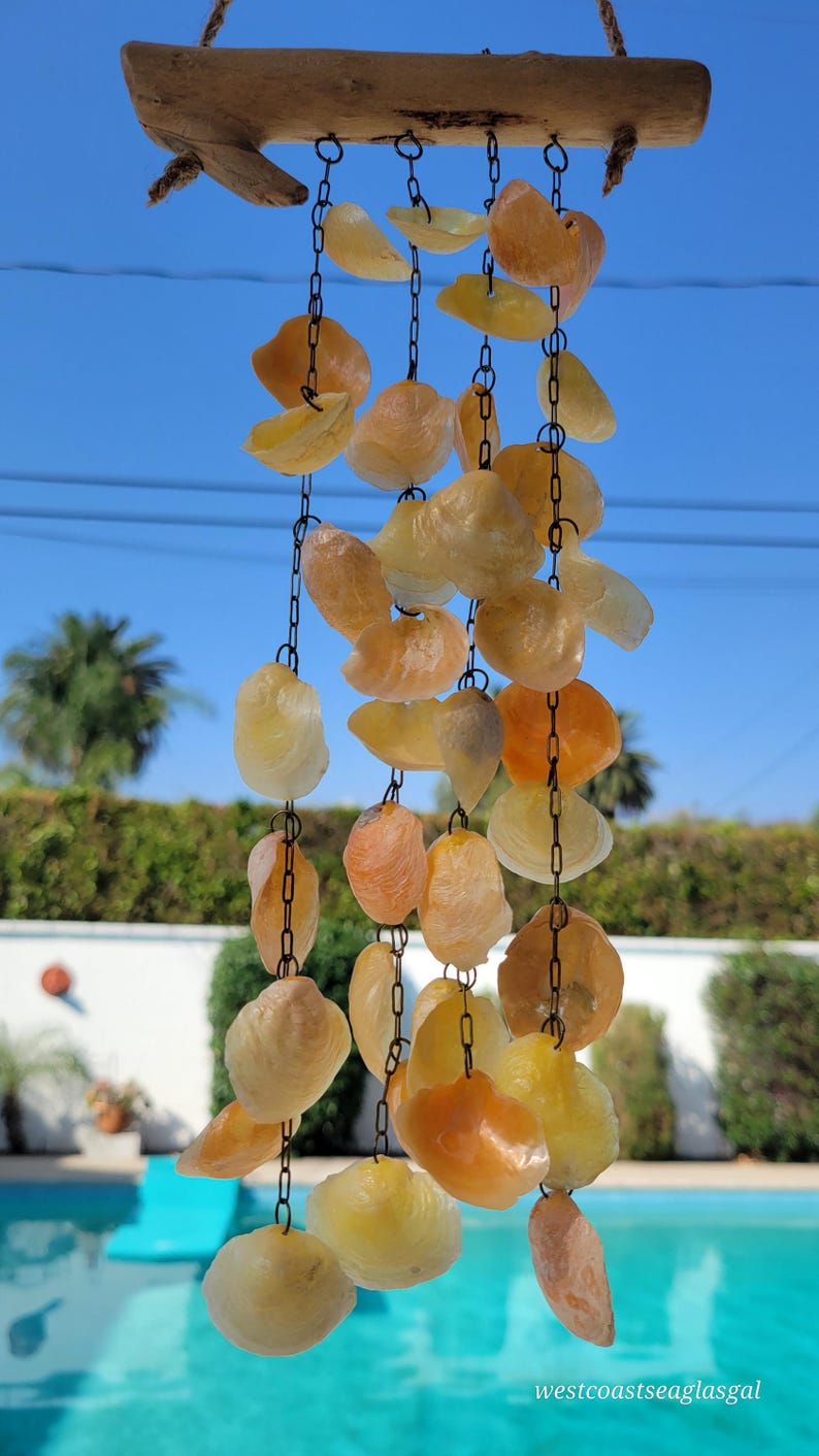 Jingle Shell Wind Chime, Driftwood Coastal Decor, Gentle Tinkling Sound ...