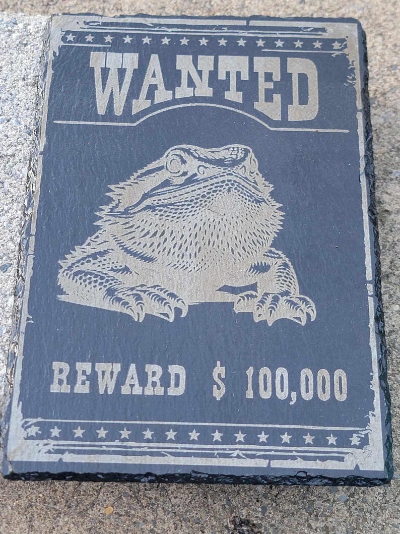 Engraved Bearded Dragon Wanted Poster Basking Slate for Lizards Snakes ...