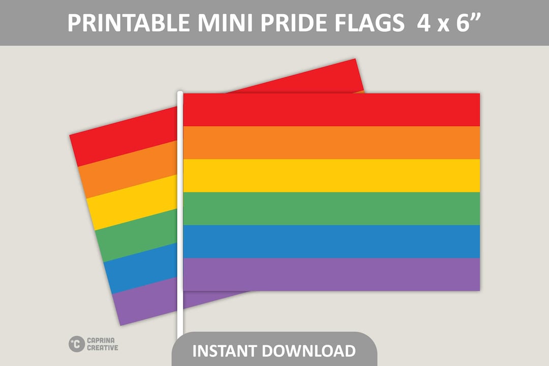 Mini Pride Flag Printable / Pride Decorations / 4" X 6" Hand Flags / 8. ...