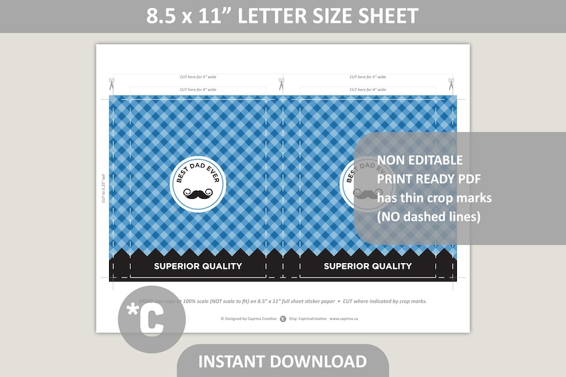 New Dad Beer Caddy Labels Printable / Dad to Be Gift / First Time ...