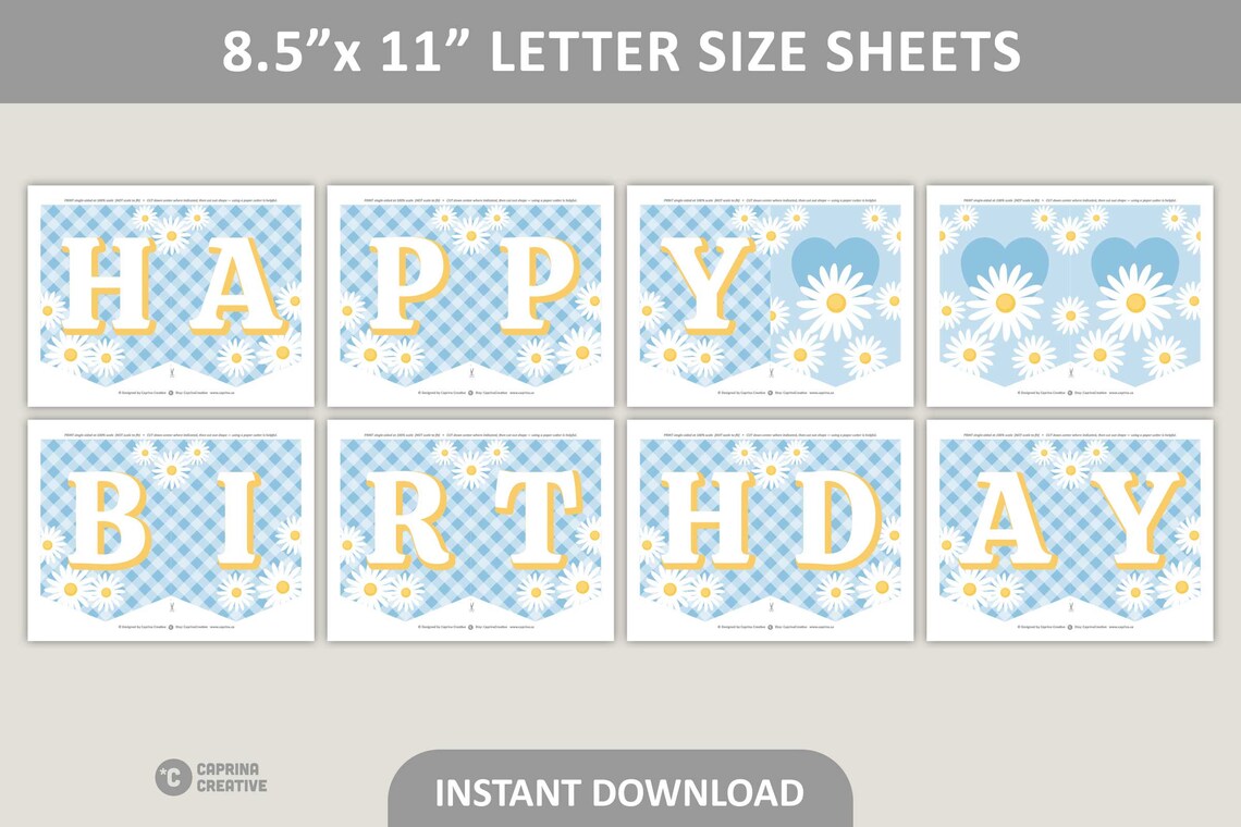 Daisy Birthday Banner Printable / Daisies on Baby Blue Plaid / Happy ...