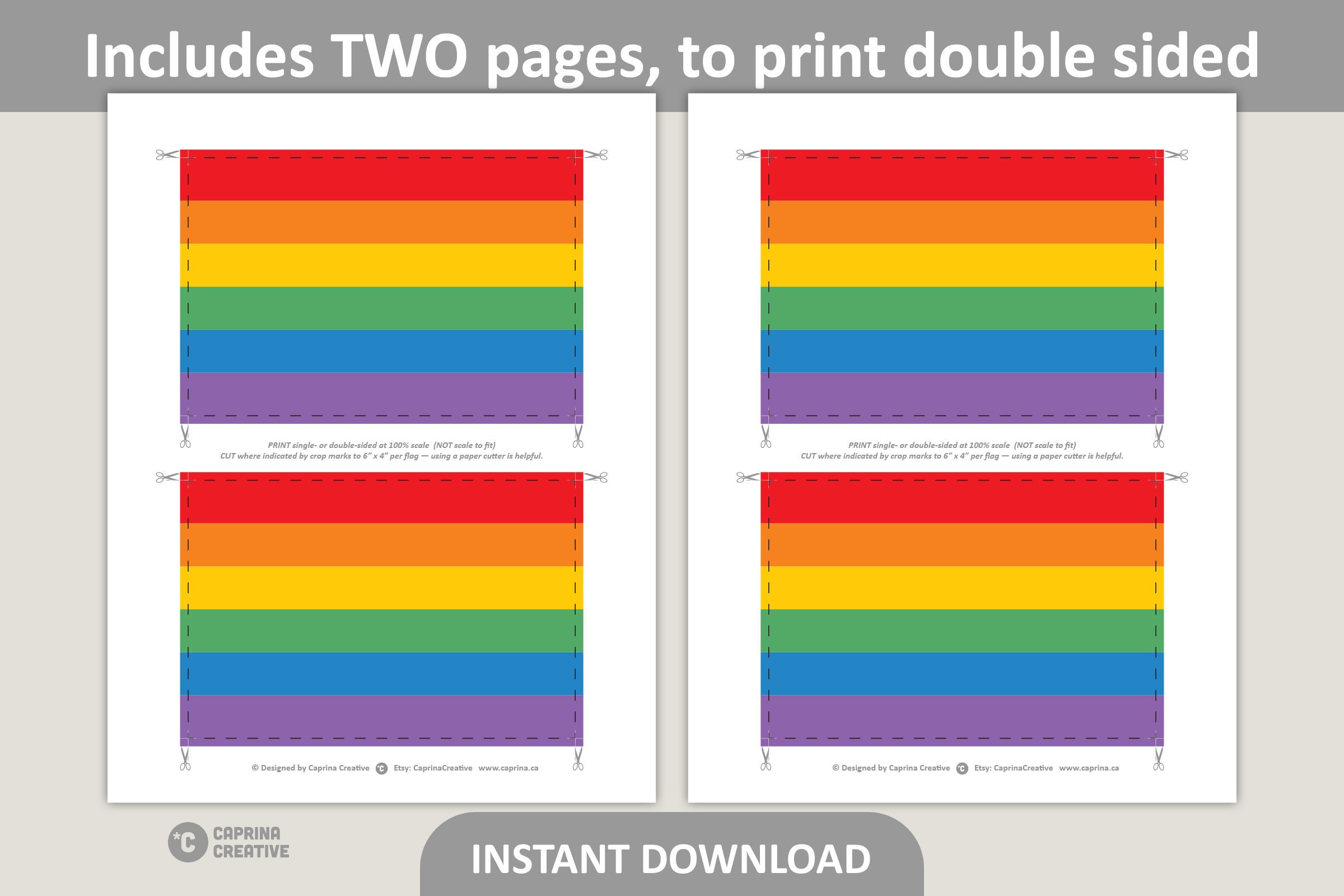 Mini Pride Flag Printable / Pride Decorations / 4" X 6" Hand Flags / 8. ...