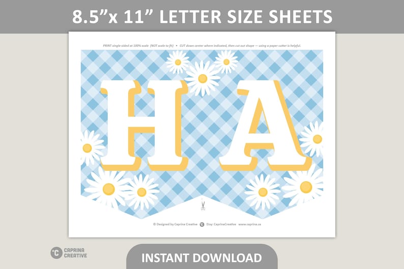 Daisy Birthday Banner Printable / Daisies on Baby Blue Plaid / Happy ...