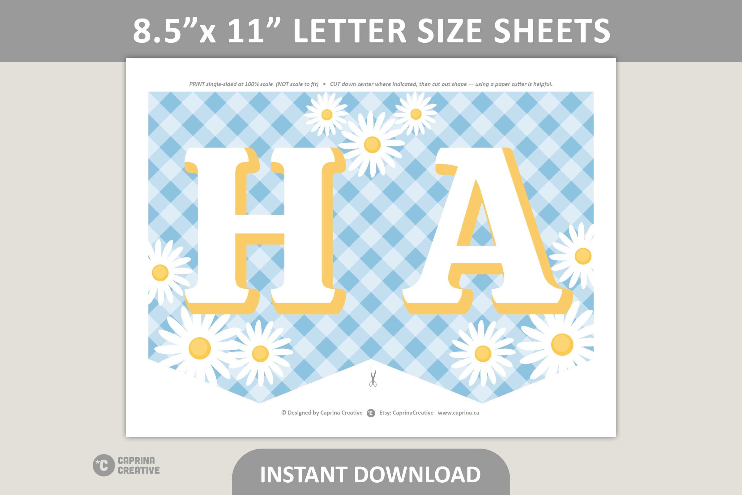 Daisy Birthday Banner Printable / Daisies on Baby Blue Plaid / Happy ...