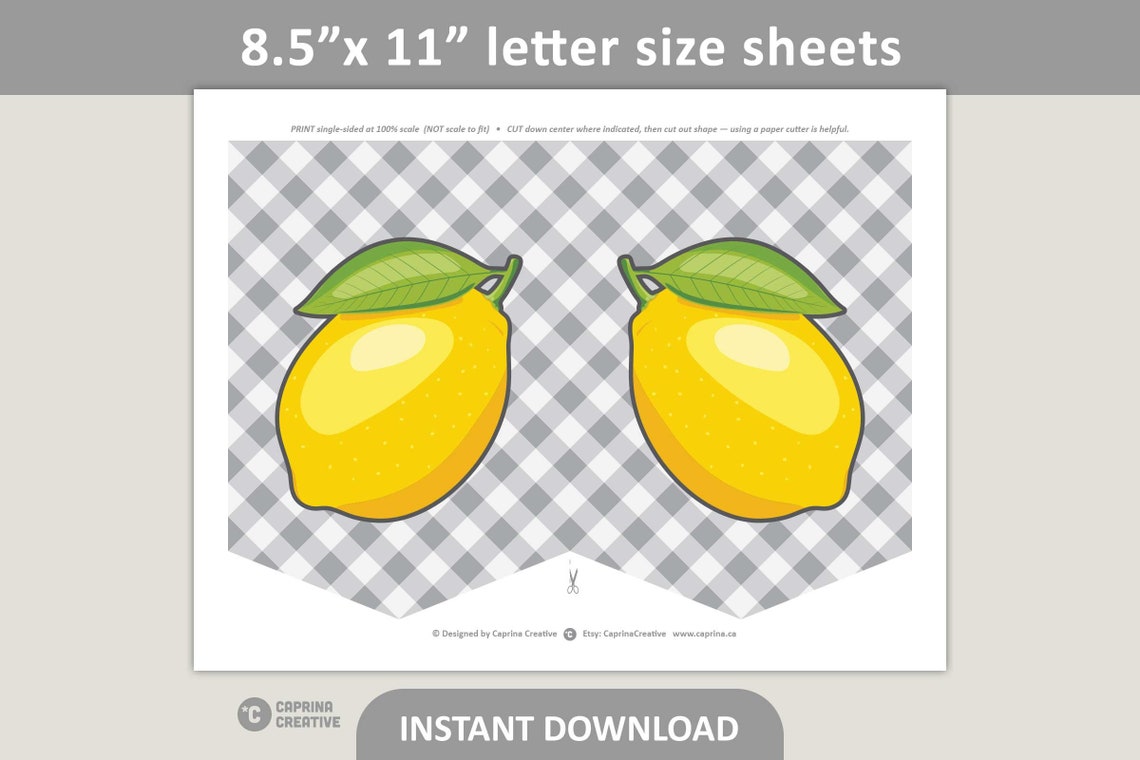 Lemon Birthday Banner Printable / Citrus Party Decor / Happy Birthday ...
