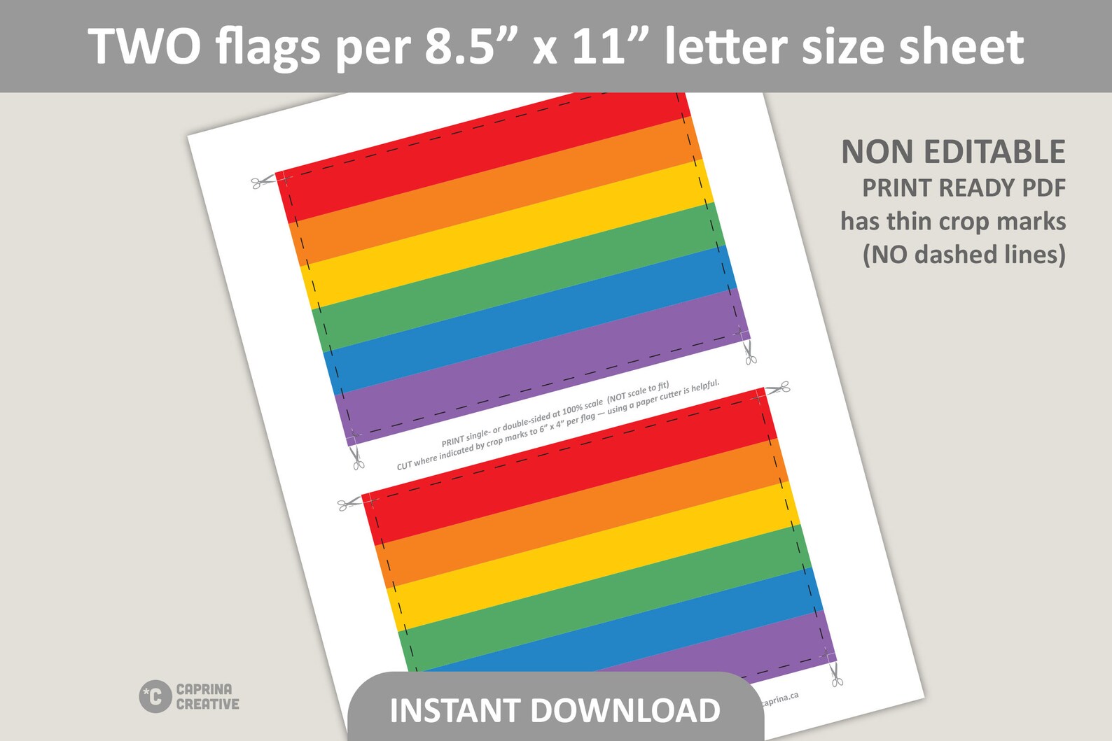 Mini Pride Flag Printable / Pride Decorations / 4" X 6" Hand Flags / 8. ...