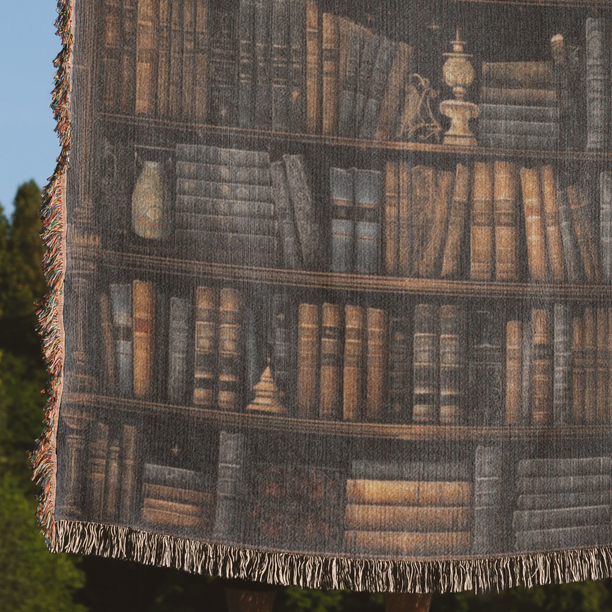Dark Academia Bookshelf Woven Blanket | Magical Bookshelf Tapestry ...