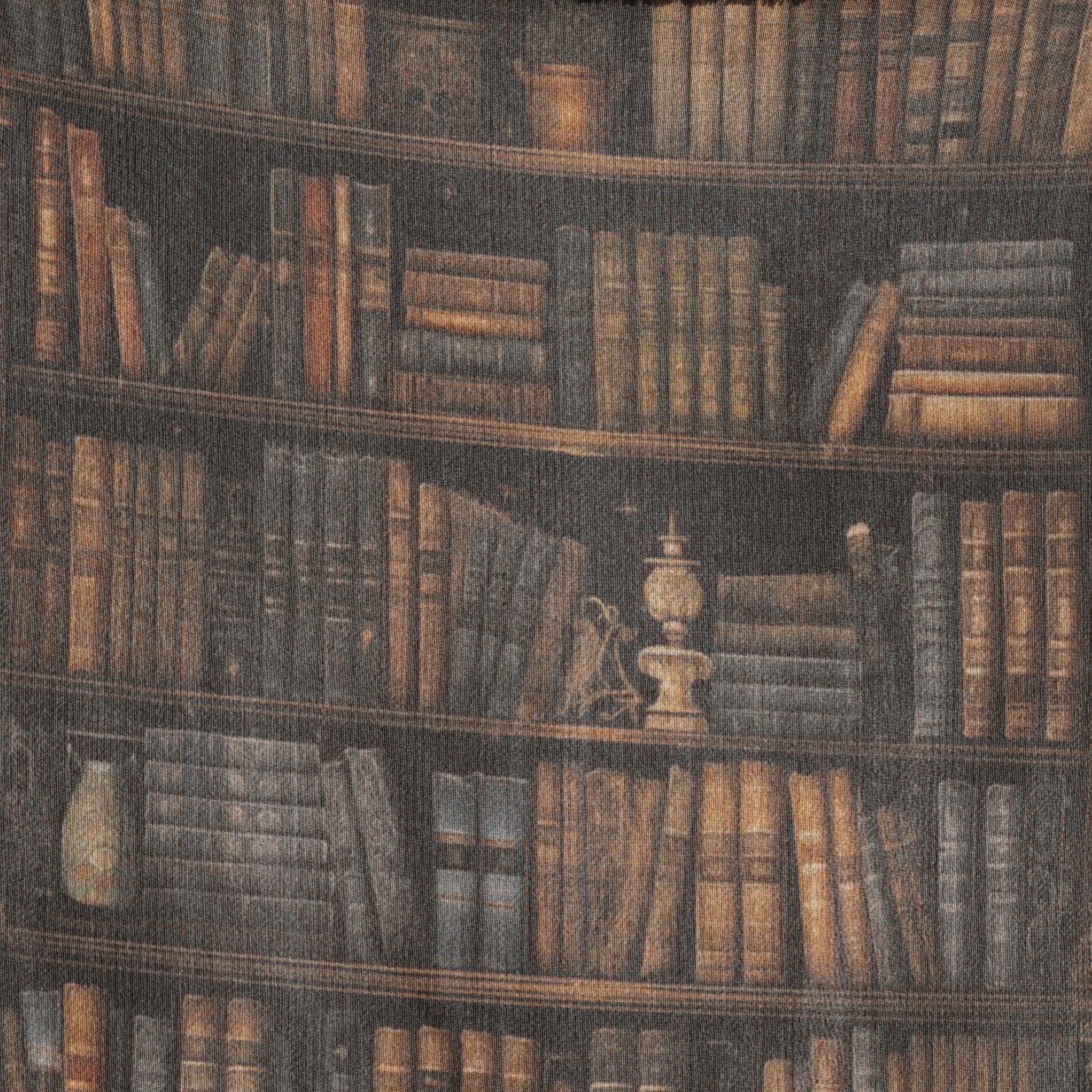 Dark Academia Bookshelf Woven Blanket Magical Bookshelf Tapestry, Witch ...