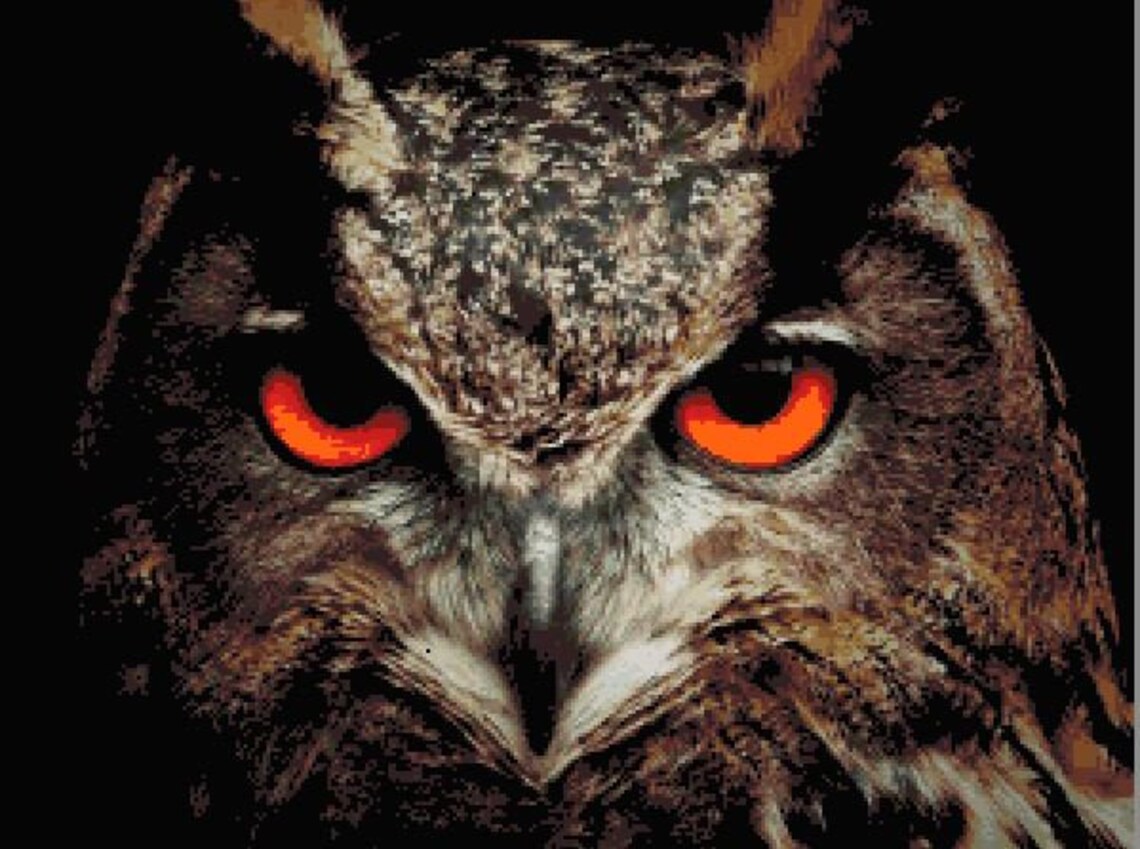 OWL EYES, Nature, Bird, Wildlife, Counted Cross Stitch Pdf Downloadable ...