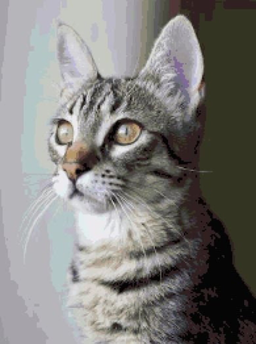 TABBY CAT, Pet, Kitten, Kitty, Tabby, Animal, Counted Cross Stitch, Pdf ...