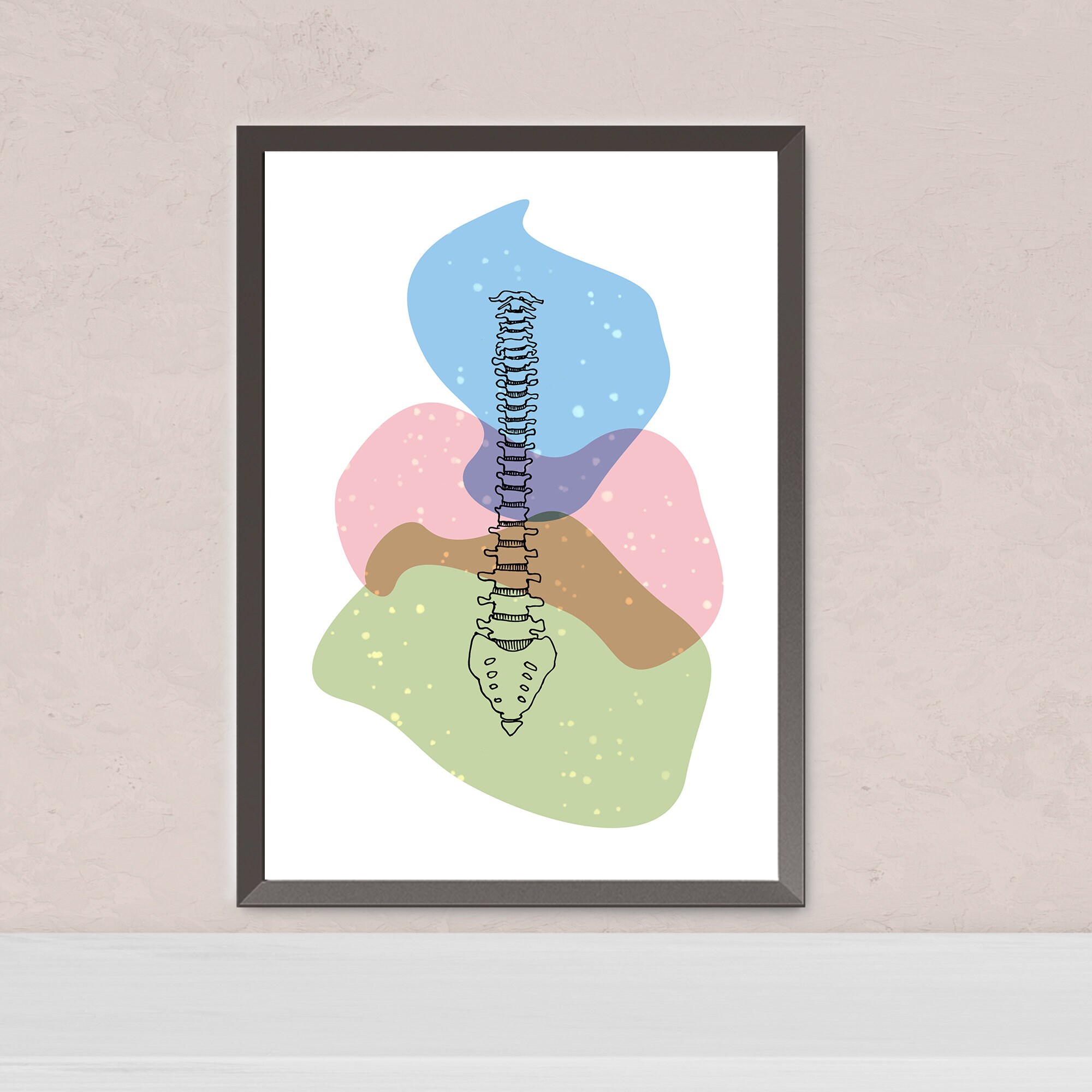 Spine Poster, Anatomic Art, Spine Front Poster, Sekeleton Wall Art ...