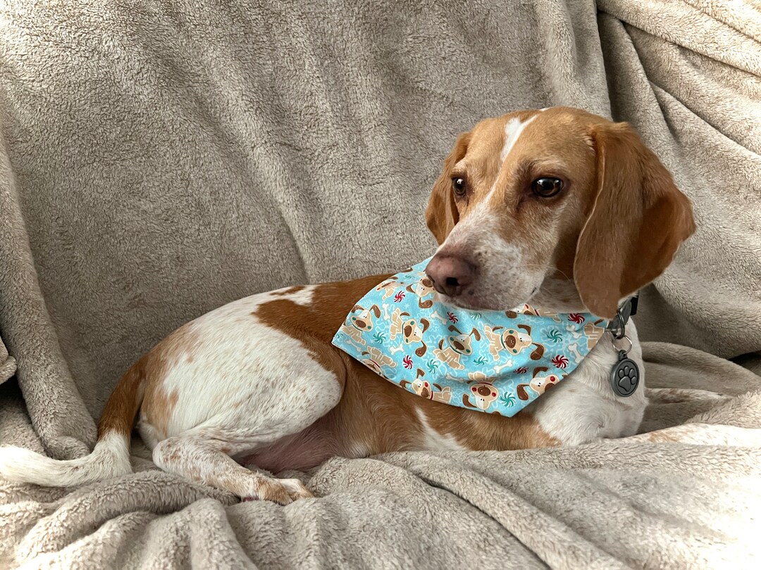 Dog Bandana - I Woof You Gingerbread - I Woof You Blue Glitter - Over ...