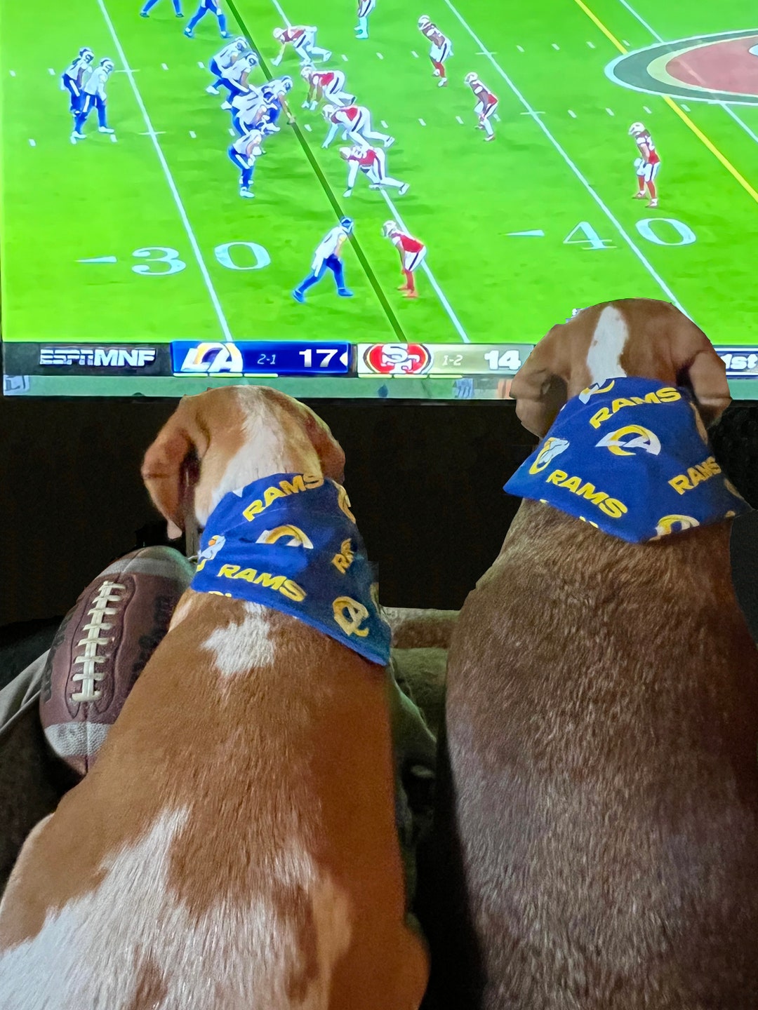 Rams Dog Bandana - Los Angeles Rams - LA Rams Dog Bandana - Over-the ...