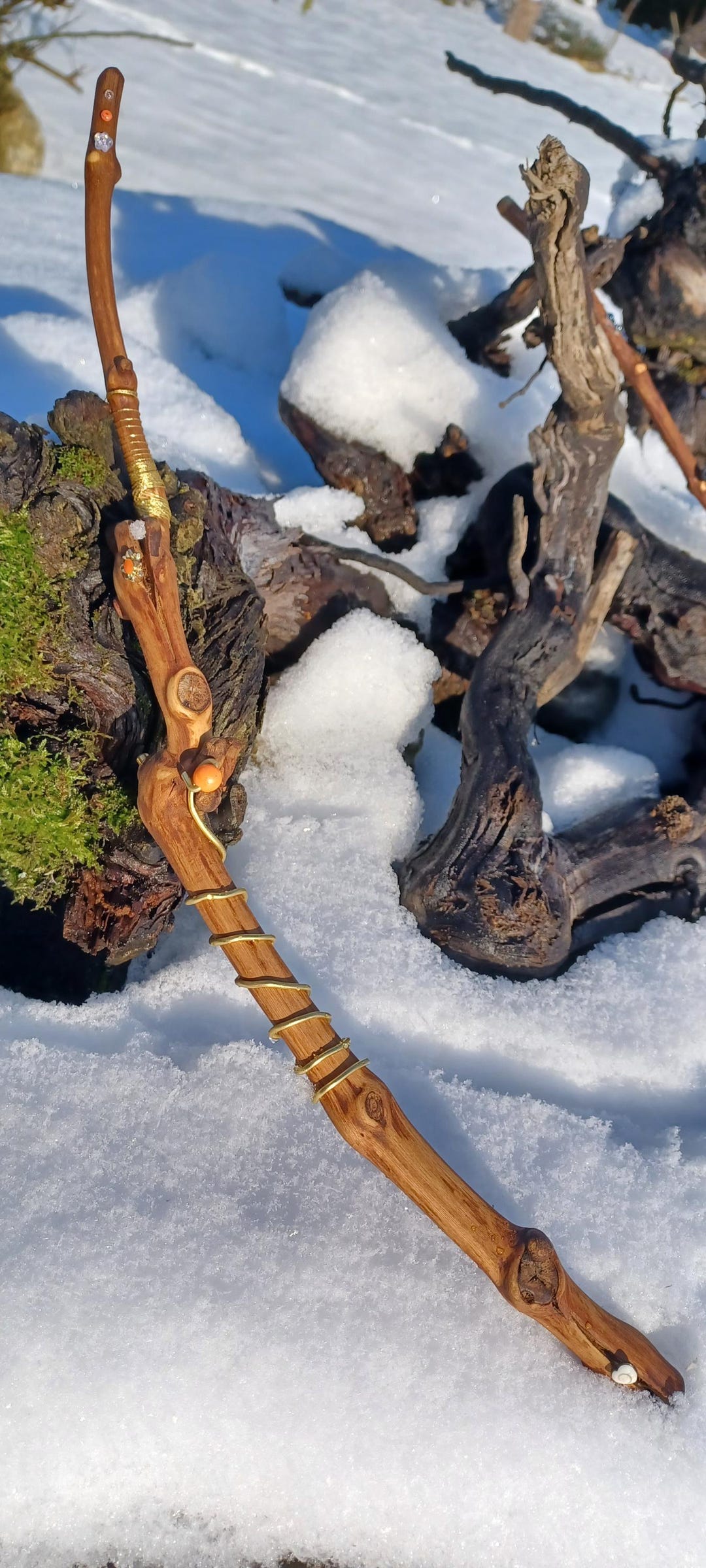 Magic Wand Vine Branch - Etsy