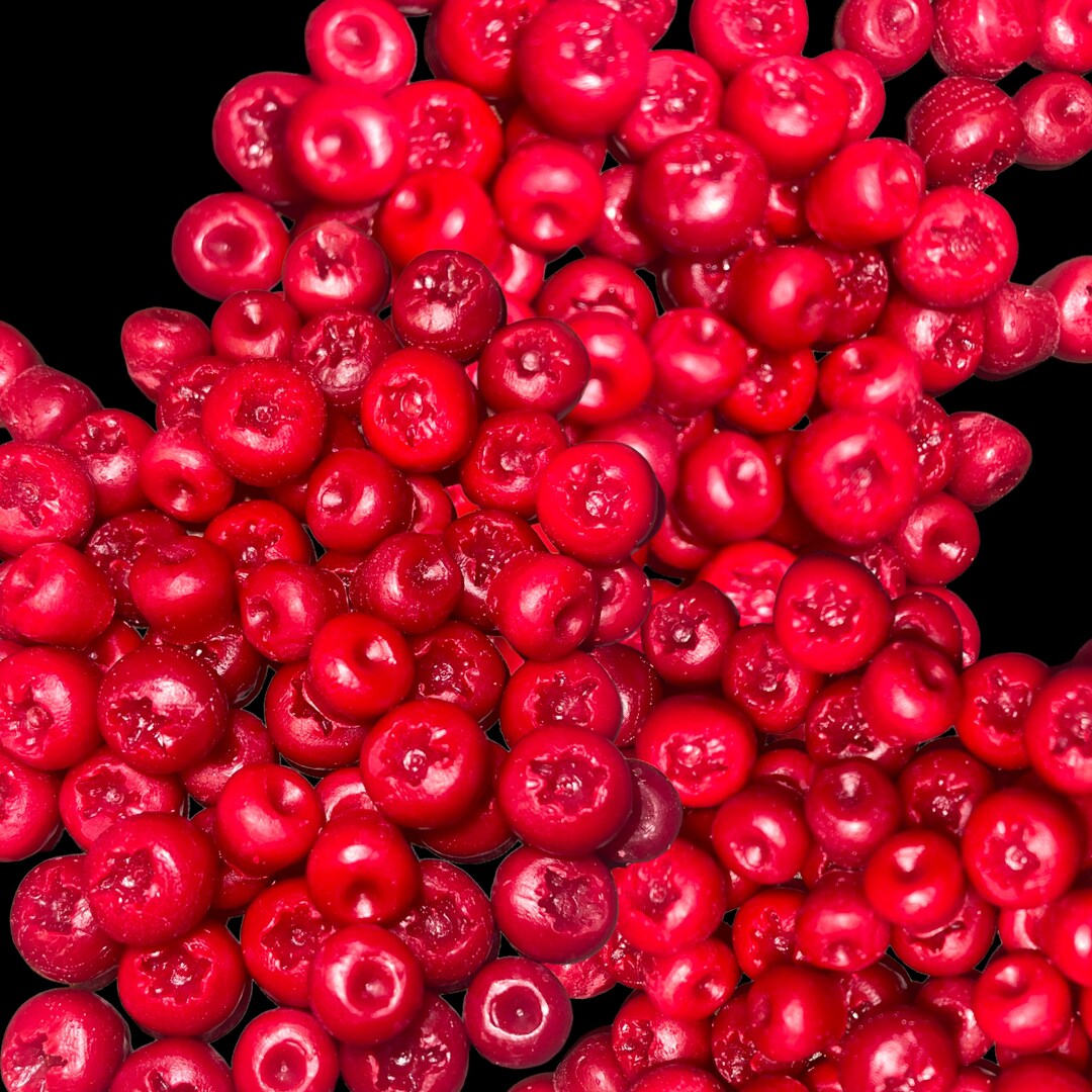 Cranberry Wax Melts Soy Wax Melts Candle Embeds Christmas Wax Melts ...