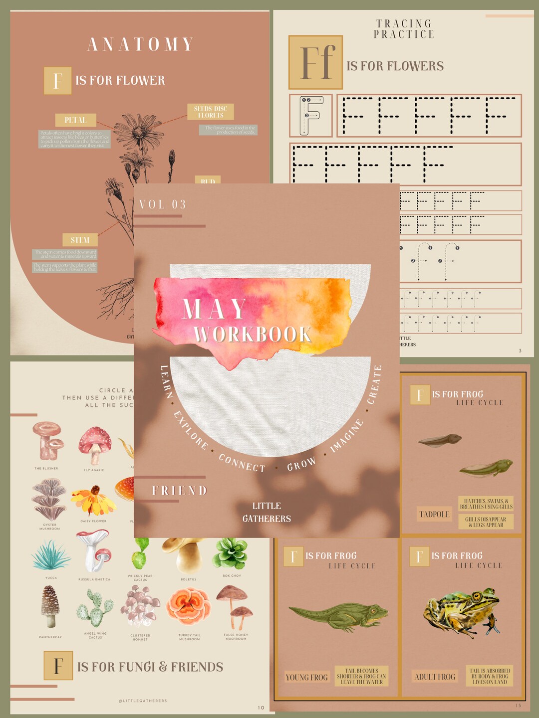 May Preschool Early School Curriculum Workbook - Etsy