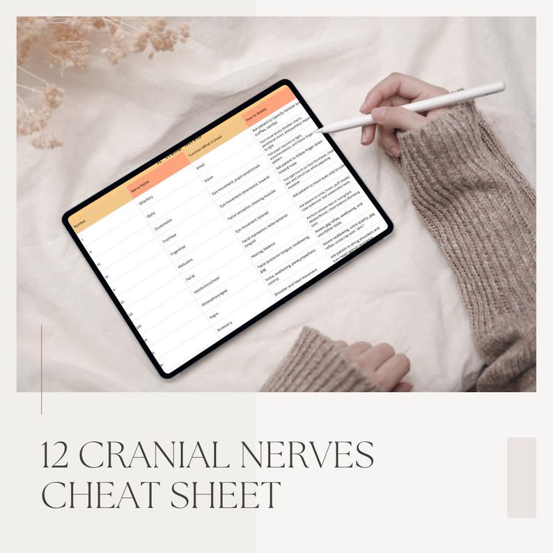 12 Cranial Nerves Cheat Sheet - Etsy