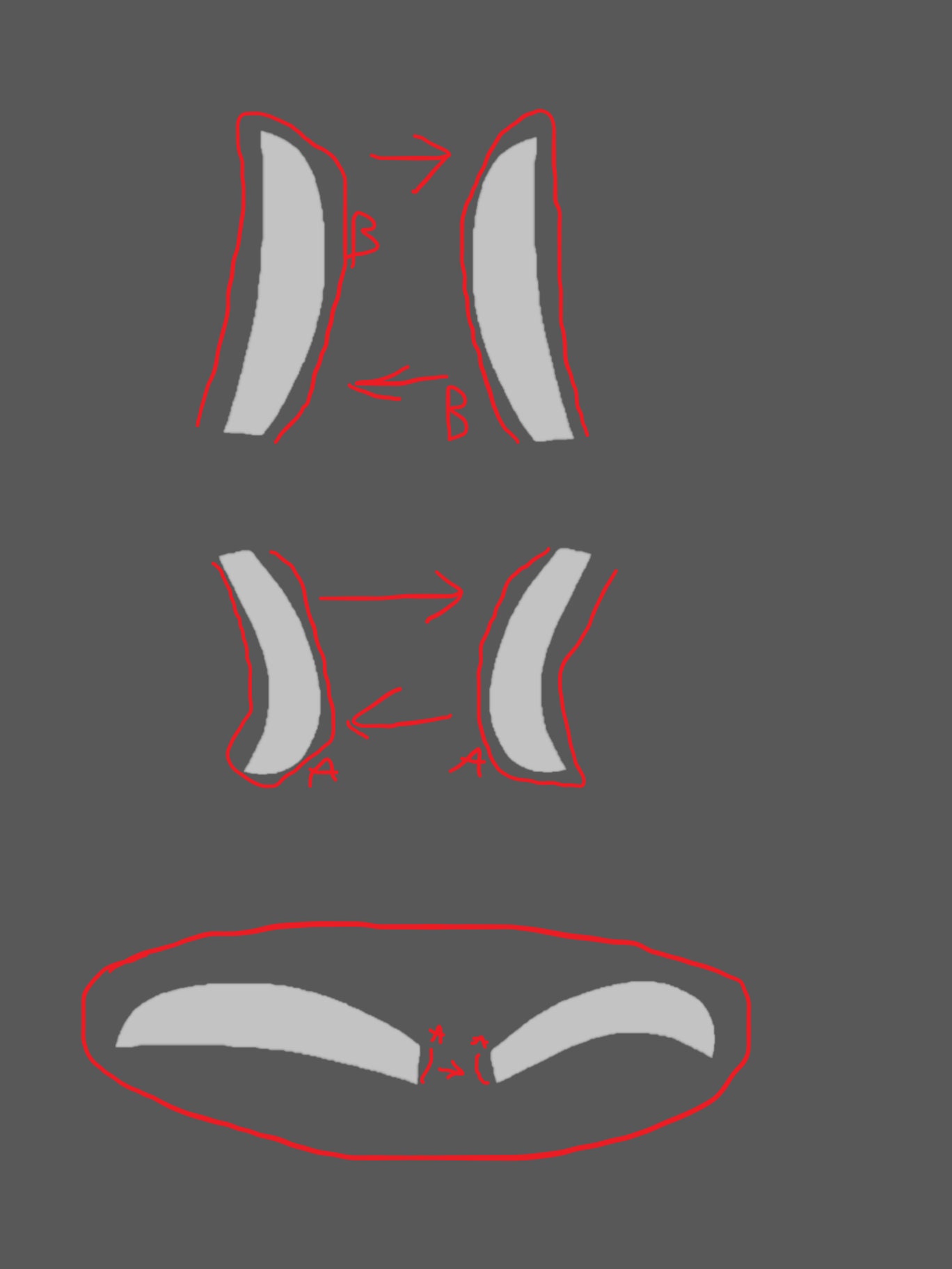 Fanmade Clodsire Plush Patterns - Etsy