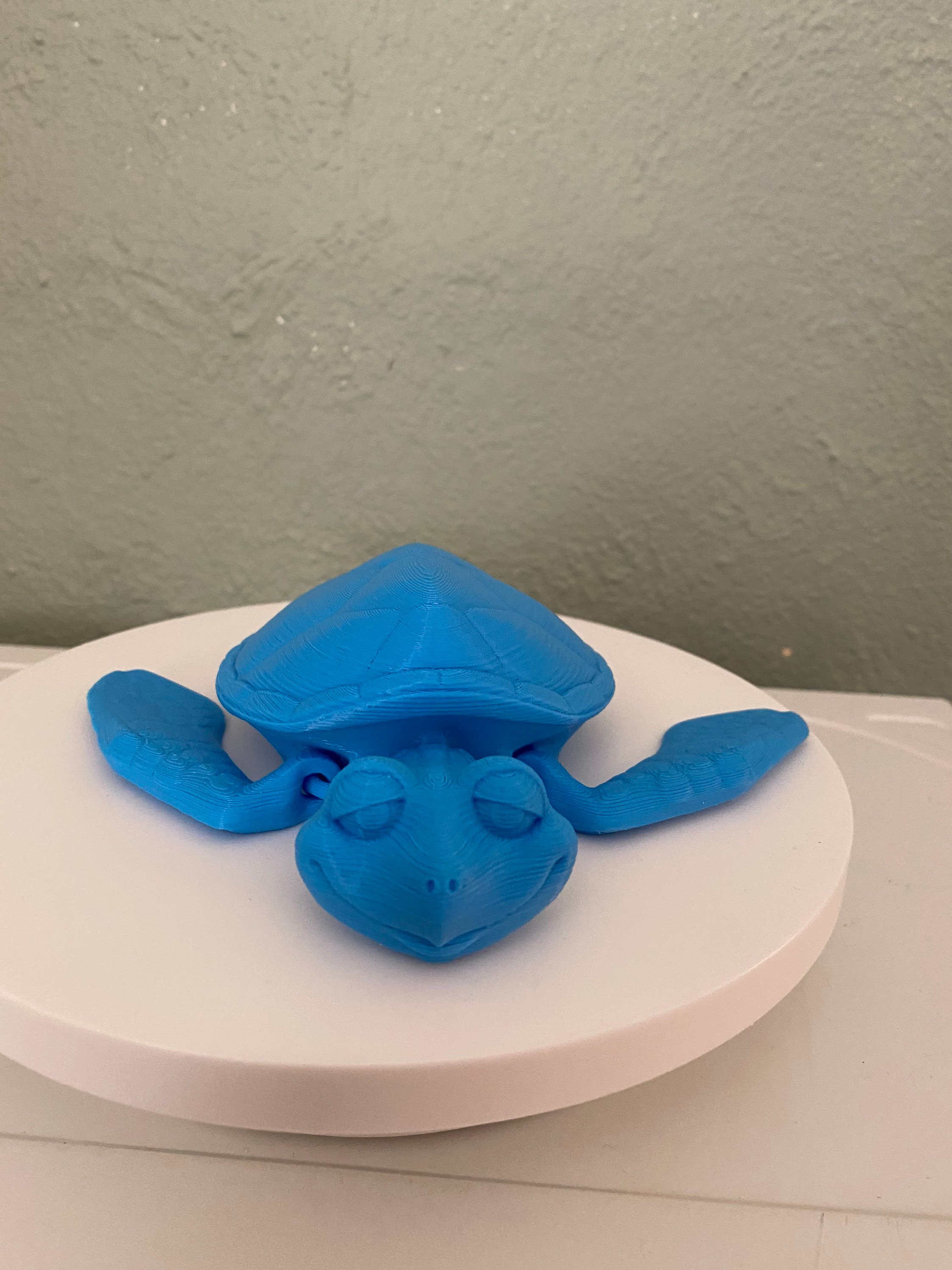 7 Inch Flexi Turtle / 3D Printed Turtle - Etsy