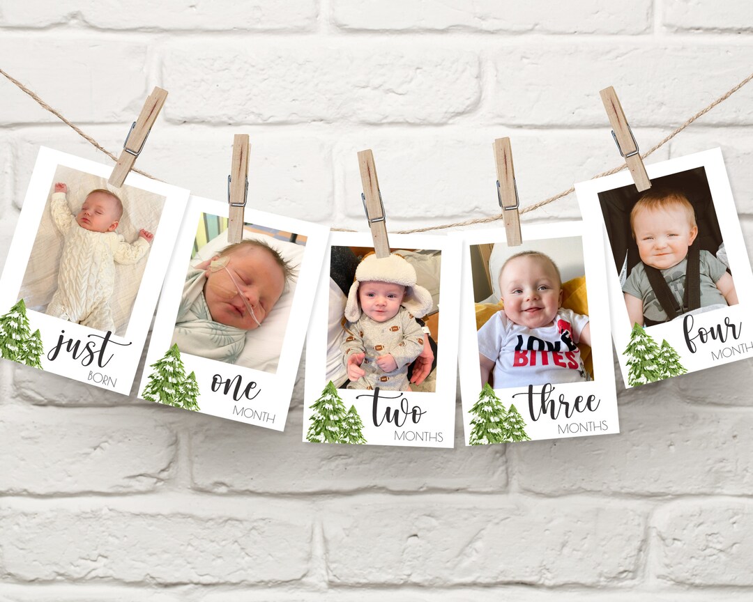 Evergreen Monthly Photo Banner for Babys First Birthday, Snowy ...