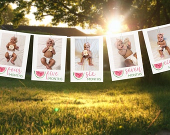 Fruit Monthly Photo Banner Birthday - Etsy