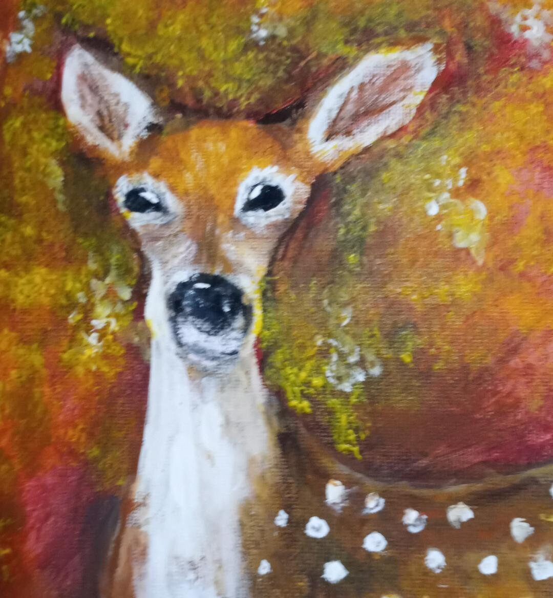 Fawn Wide Eyes - Etsy