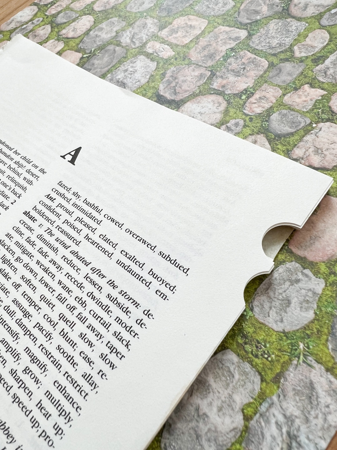 Vintage Thesaurus Pages, Dictionary Pages, Letter A - Etsy