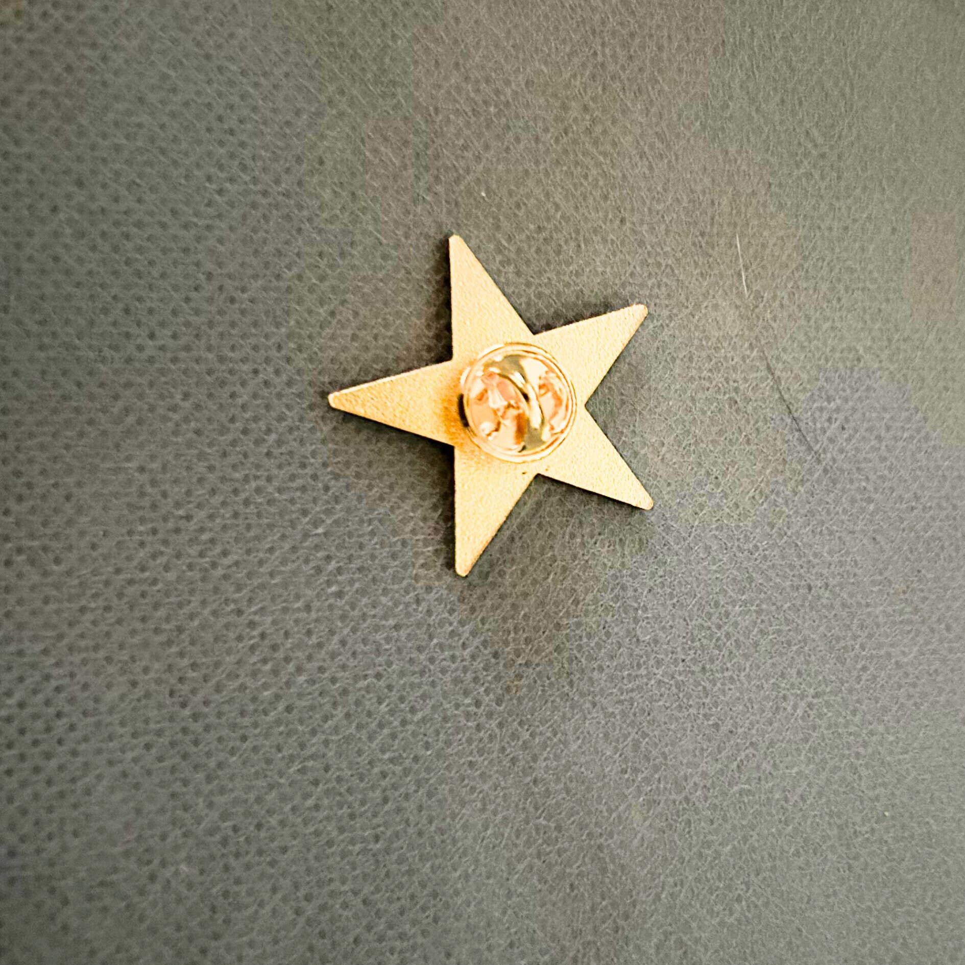 Order of the Eastern Star Lapel Pin - Etsy