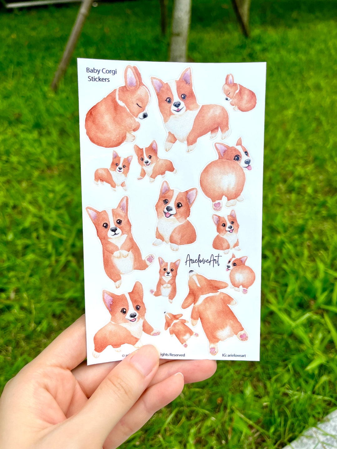 Cute Corgi Stickers, Decal Stickers, Waterproof, Removable Adhesive - Etsy