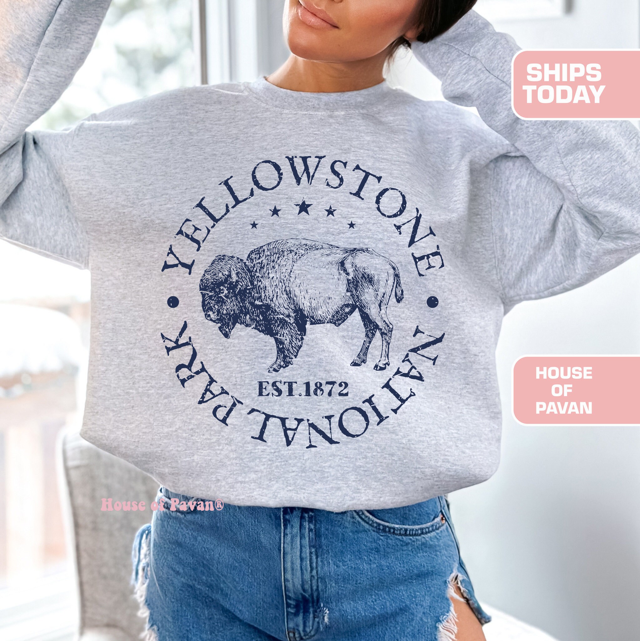Yellowstone Bison, National Park Sweatshirt, Camping Gift, Sweater ...