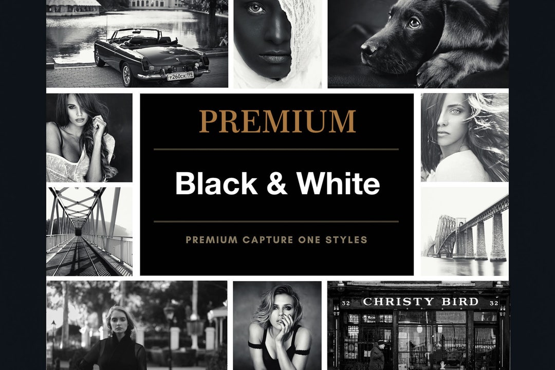 Premium Black & White Capture One Styles - Etsy
