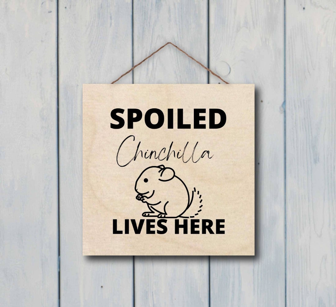 Wood Photo Chinchilla Art Small Animal Art Photo Board - Etsy