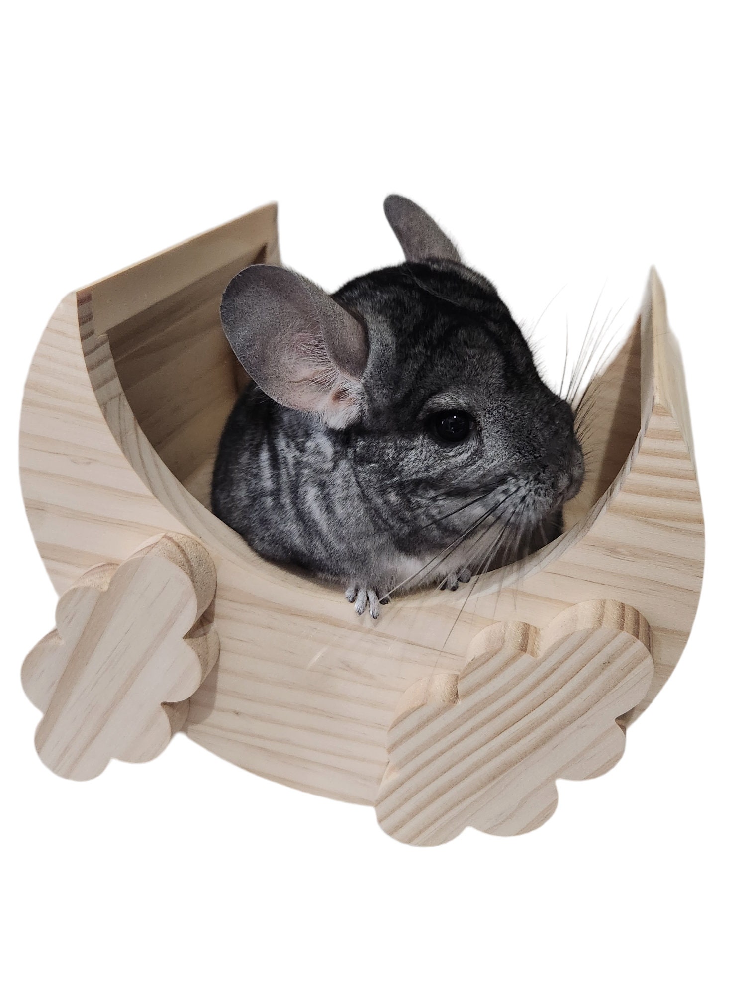 Chinchilla Toys