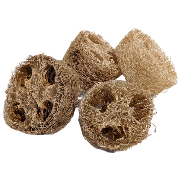 Chinchilla Natural Chew Toys - Etsy