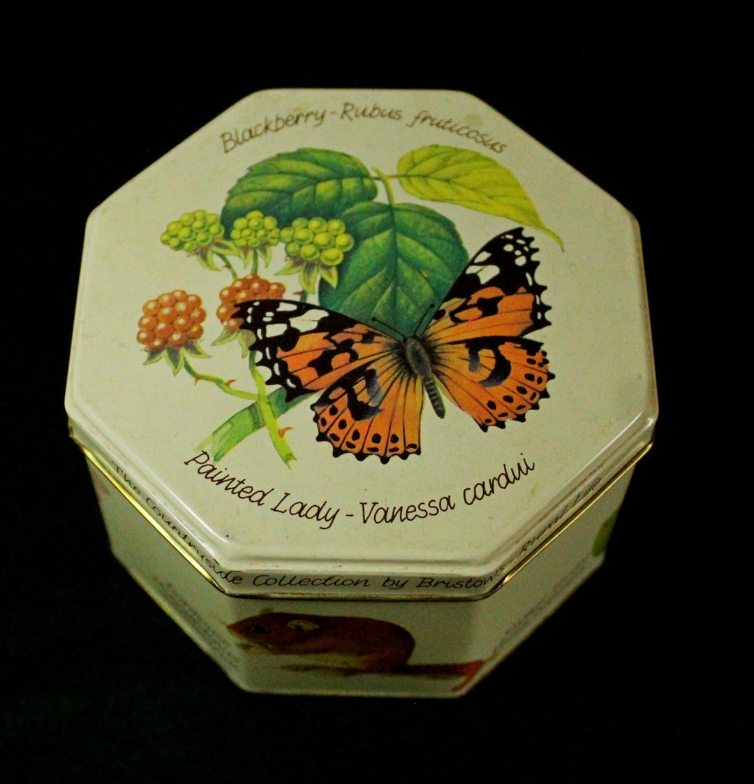 Vintage Bristow's of Devon Fudge Tin - Etsy