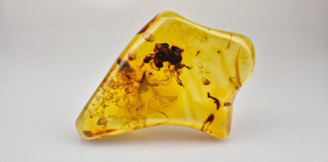 Natural Baltic Amber With Insect Inclusion: Collectible Gemstone, Home ...