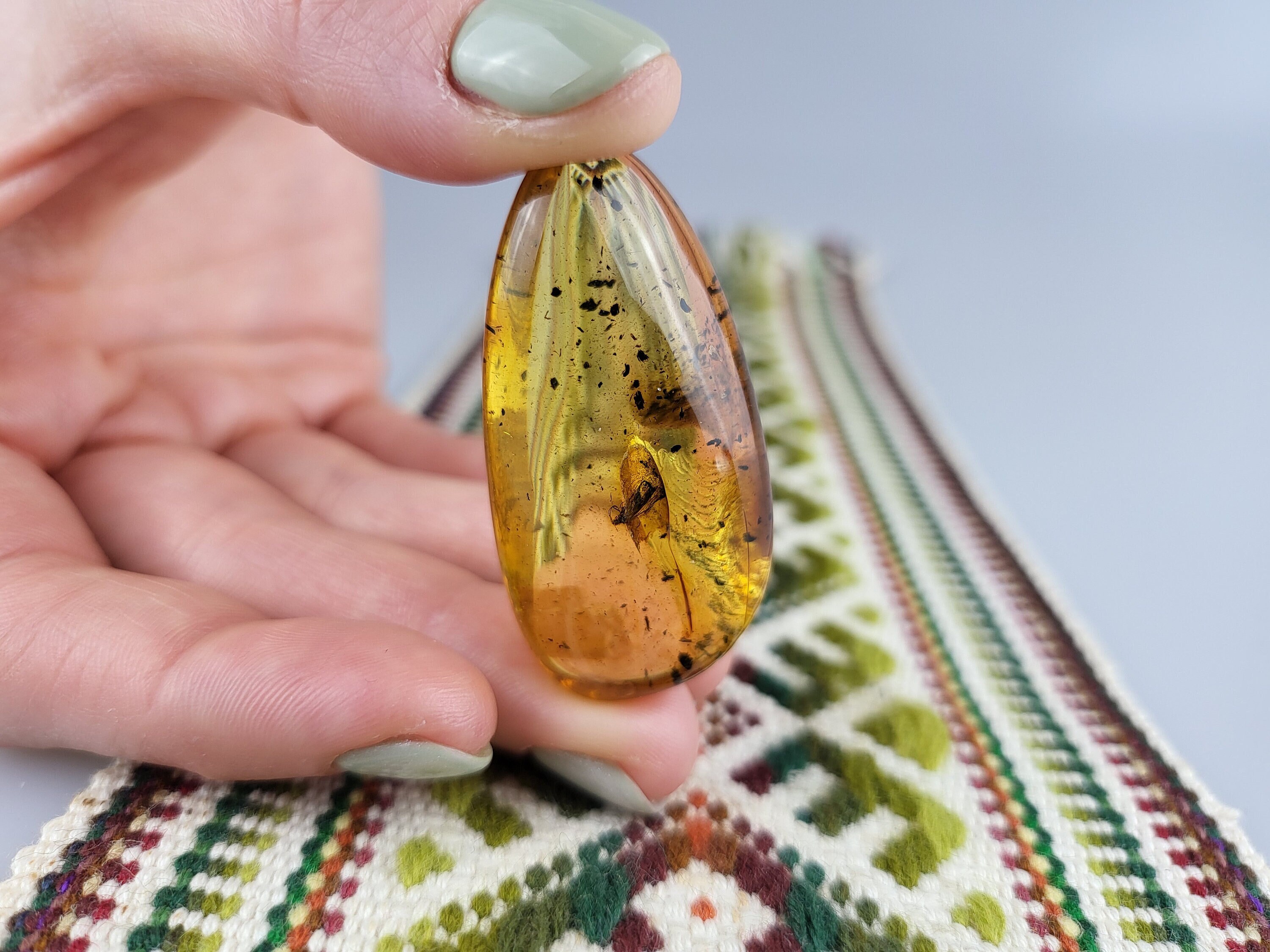 Baltic Amber Stone Inclusion, Mosquito / Bug Inside, Very Rare Amber ...