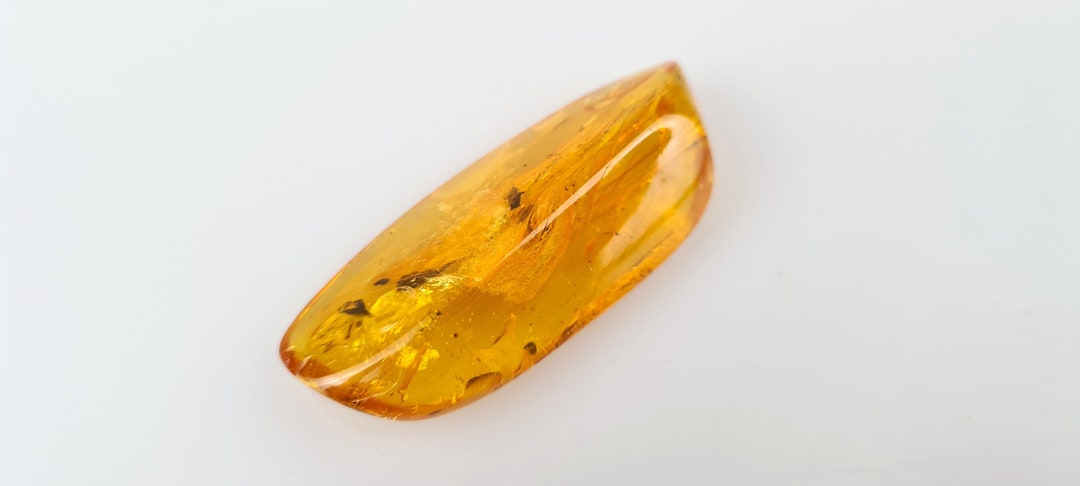 Baltic Amber Stone Inclusion, Mosquito / Bug Inside, Very Rare Amber ...