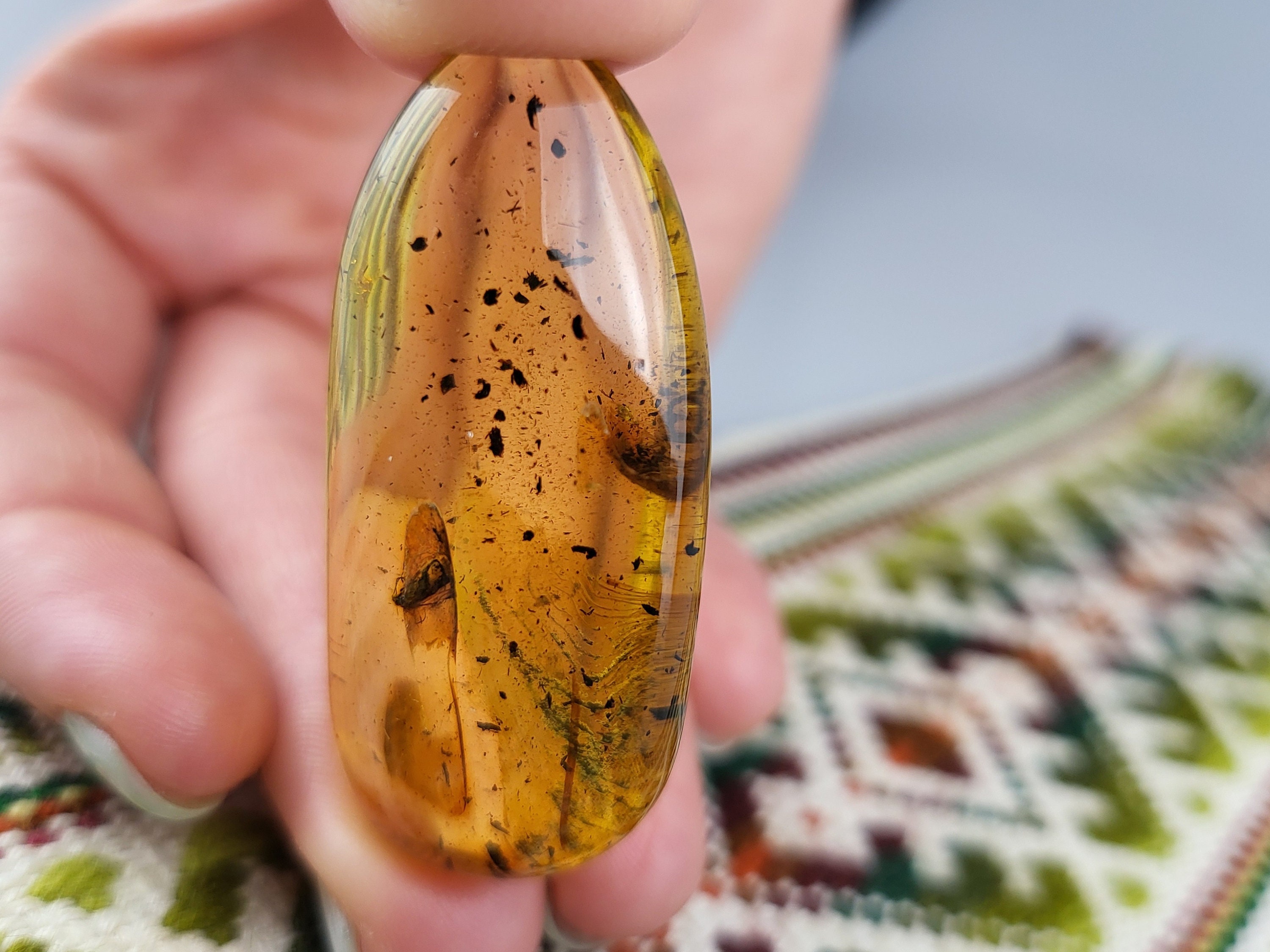 Baltic Amber Stone Inclusion, Mosquito / Bug Inside, Very Rare Amber ...