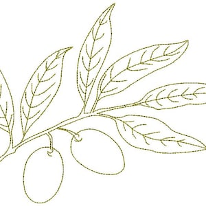Olive Branch Embroidery Design, Line Art Embroidery Design, Machine ...