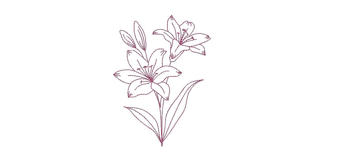 Lily Flower Embroidery Design, Line Art Embroidery Design, Machine ...