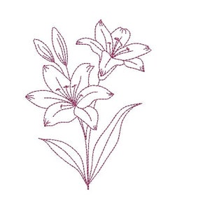 Lily Flower Embroidery Design, Line Art Embroidery Design, Machine ...
