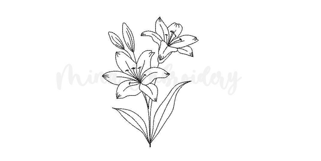 Lily Flower Embroidery Design, Line Art Embroidery Design, Machine ...