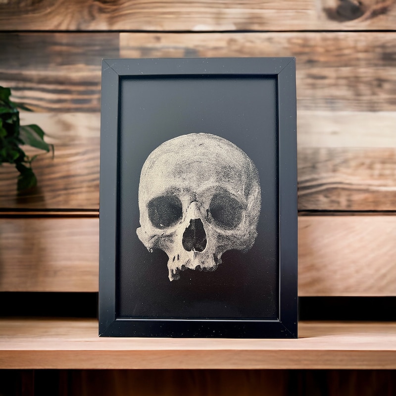 Decorative Skulls - Etsy