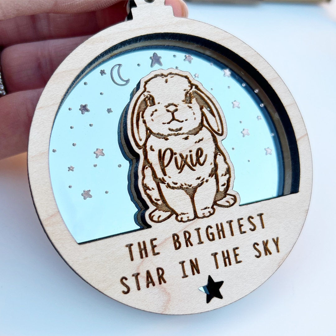 Rabbit Memorial Gift, Bunny Memorial Gift, Lop-eared Bunny Keepsake ...