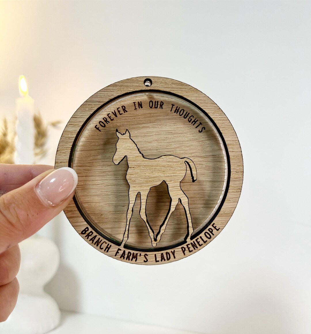Foal Hair Keepsake, Pet Memorial Box, Horse Hair Trinket, Pet Hair ...