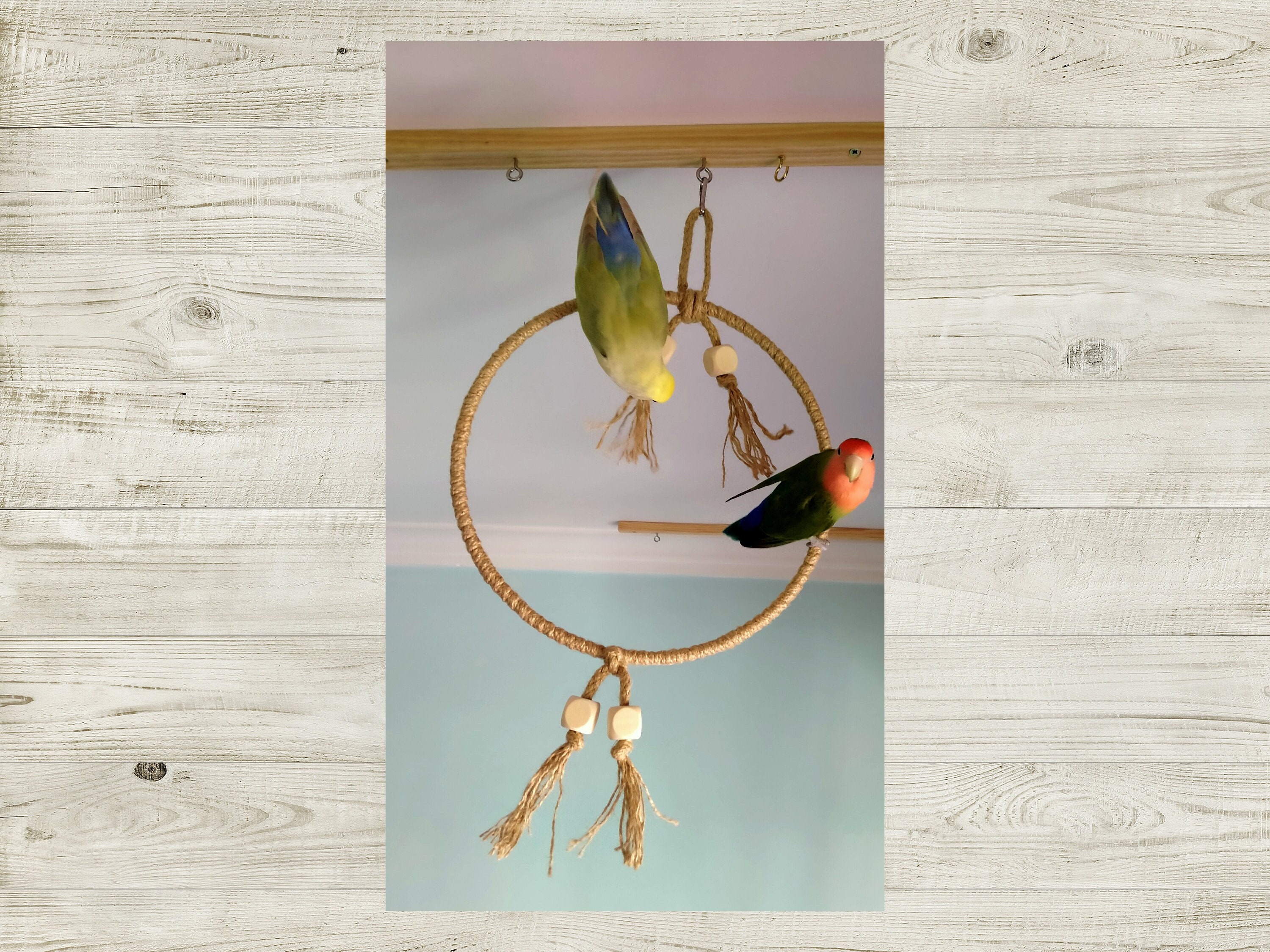 Handmade Bird Swing, Bird Toy, Parrot Toy, Parrot Swing - Etsy
